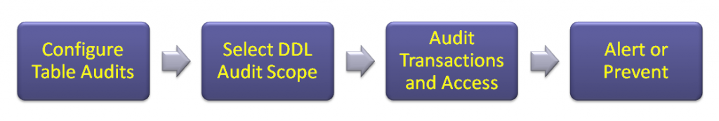 Application Auditor for E-Business Suite | Absolute Technologies